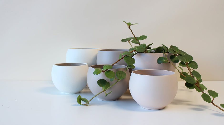 Braid & Wood – Braid & Wood