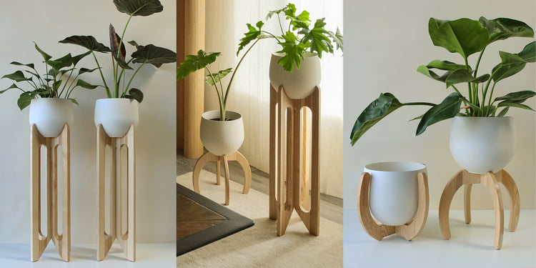 Braid & Wood – Braid & Wood