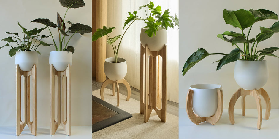 Braid & Wood – Braid & Wood