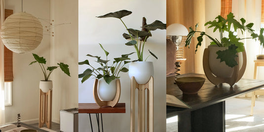 Braid & Wood – Braid & Wood