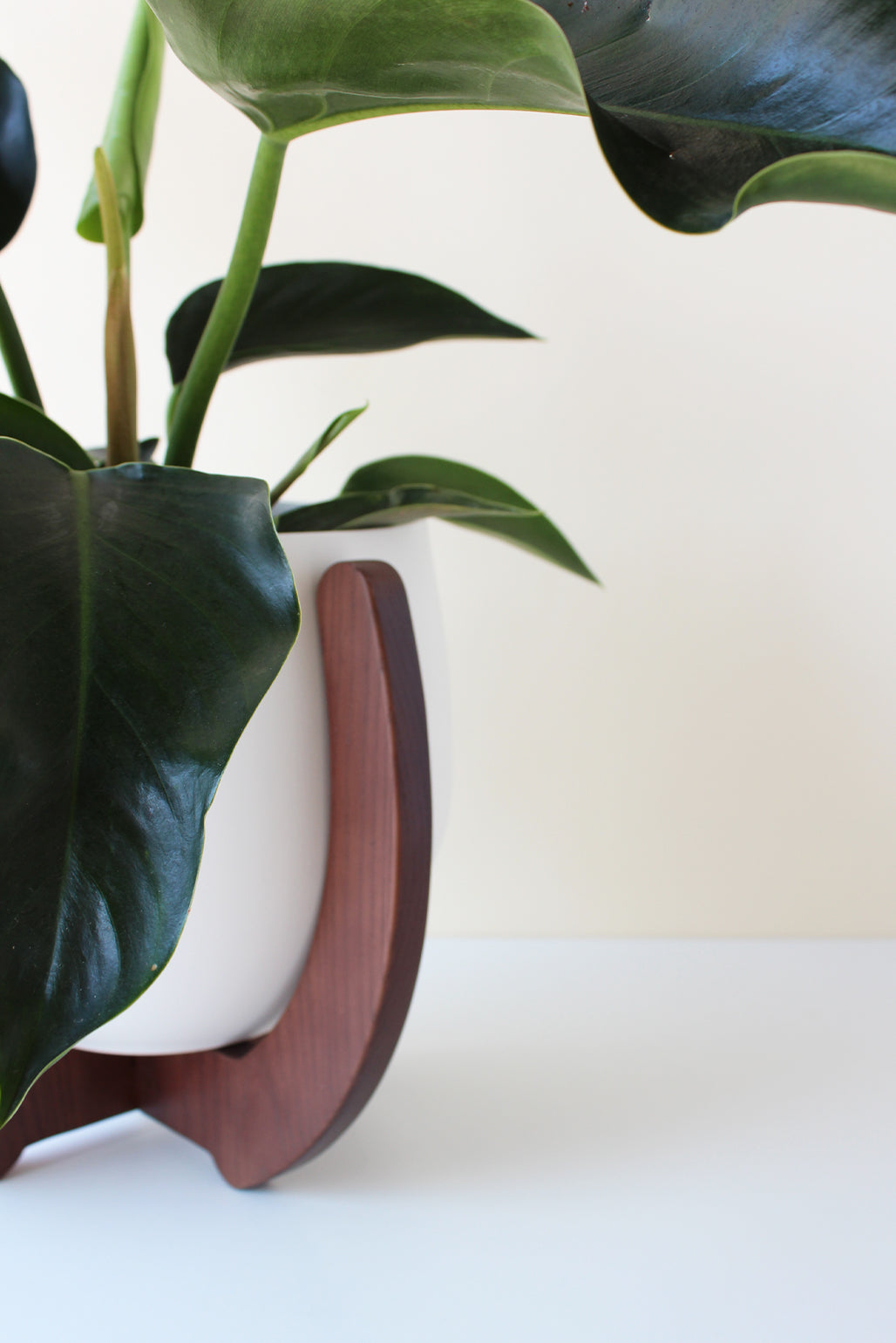 Braid & Wood – Braid & Wood