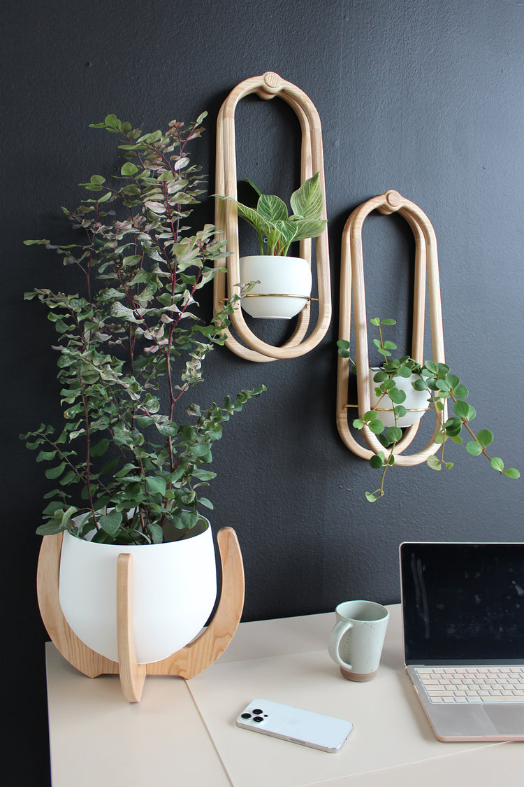 Plant Hanger - Modern Hanging Planters by Braid & Wood Design Studio