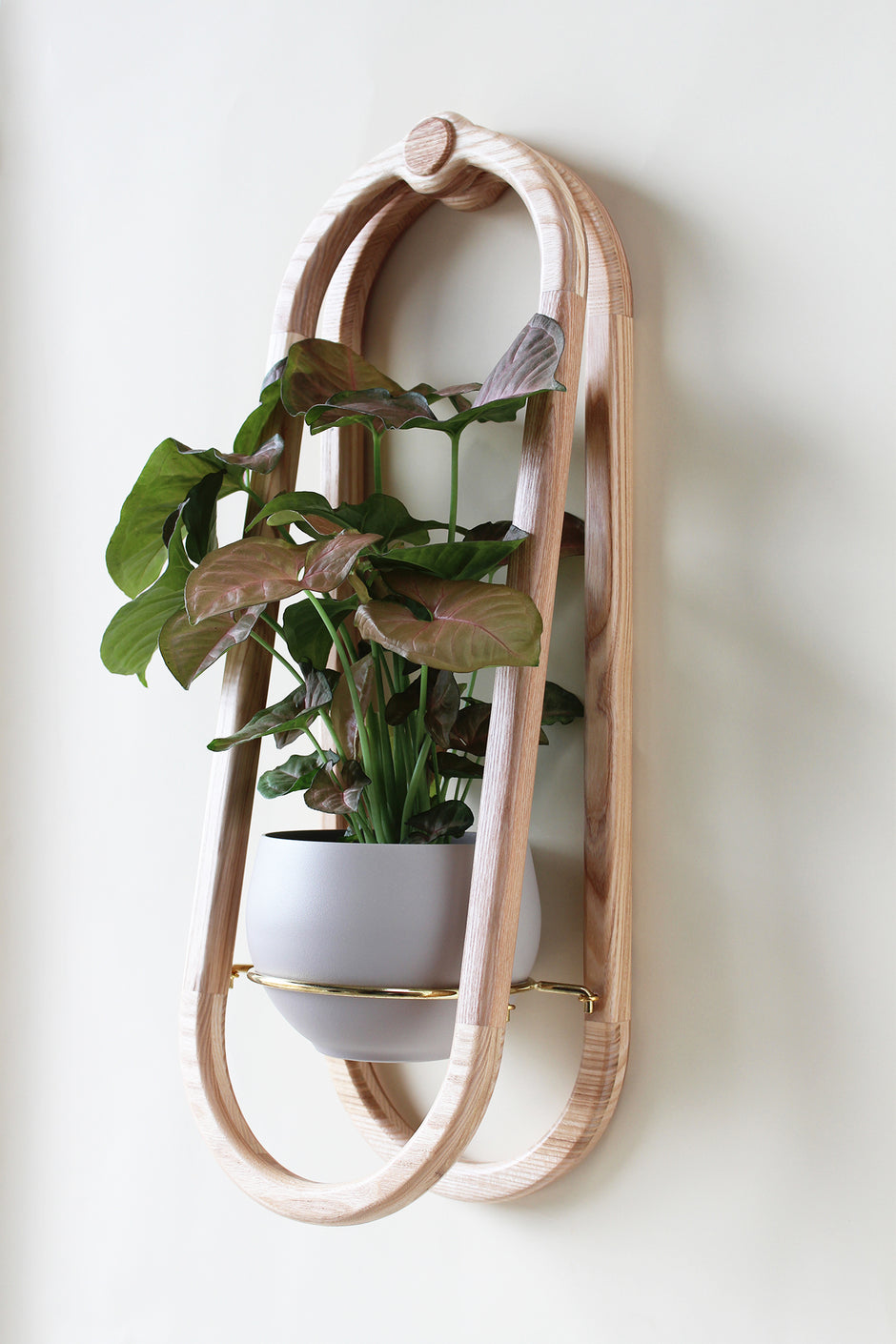 Frame Wall Planter + Pot Duo – Braid & Wood