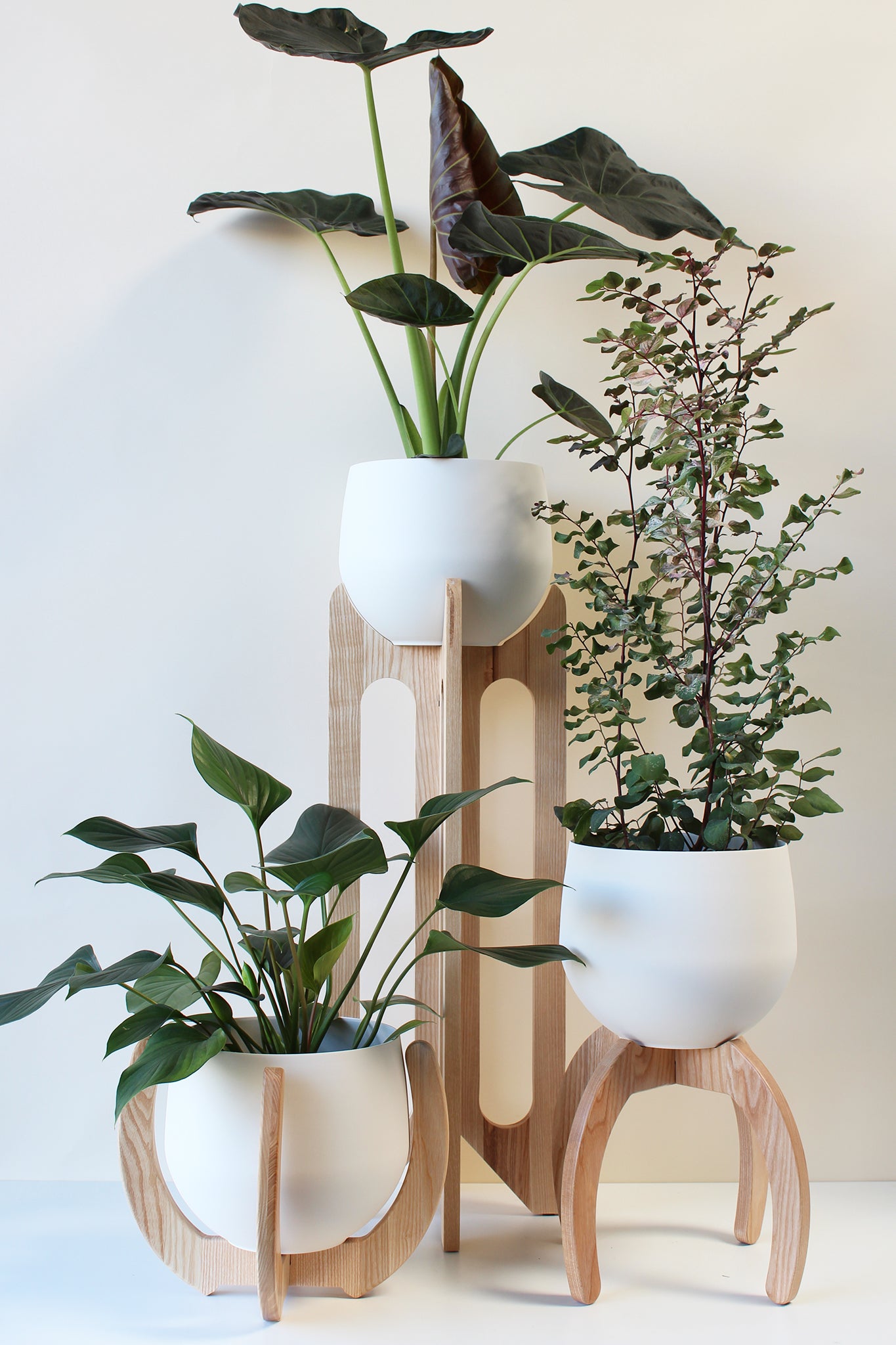 Tall Modern Solid Wood Plant Stands by Braid & Wood