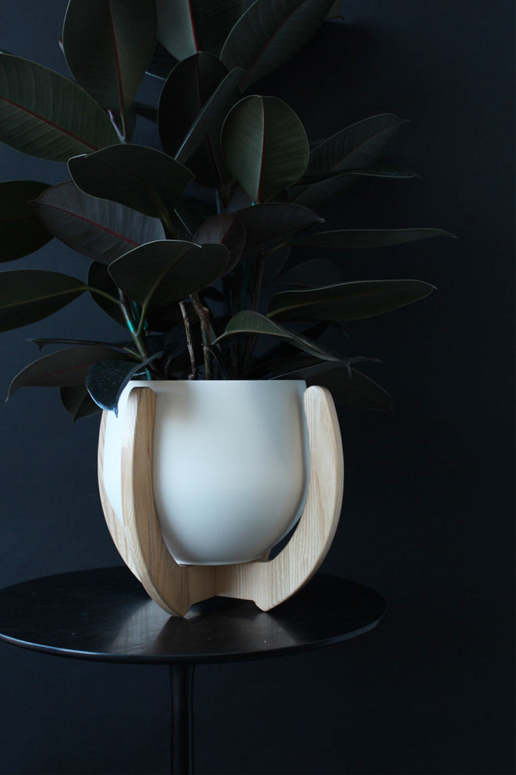 Braid & Wood – Braid & Wood