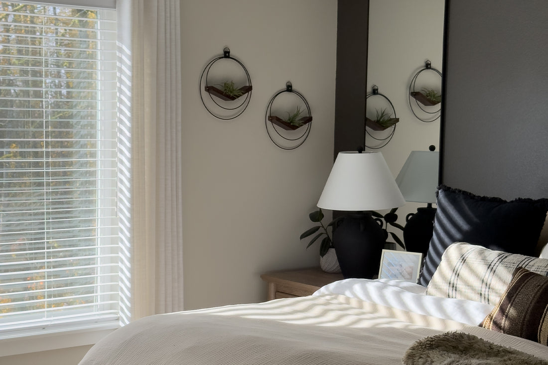 Valentine's Day Sale – Braid & Wood