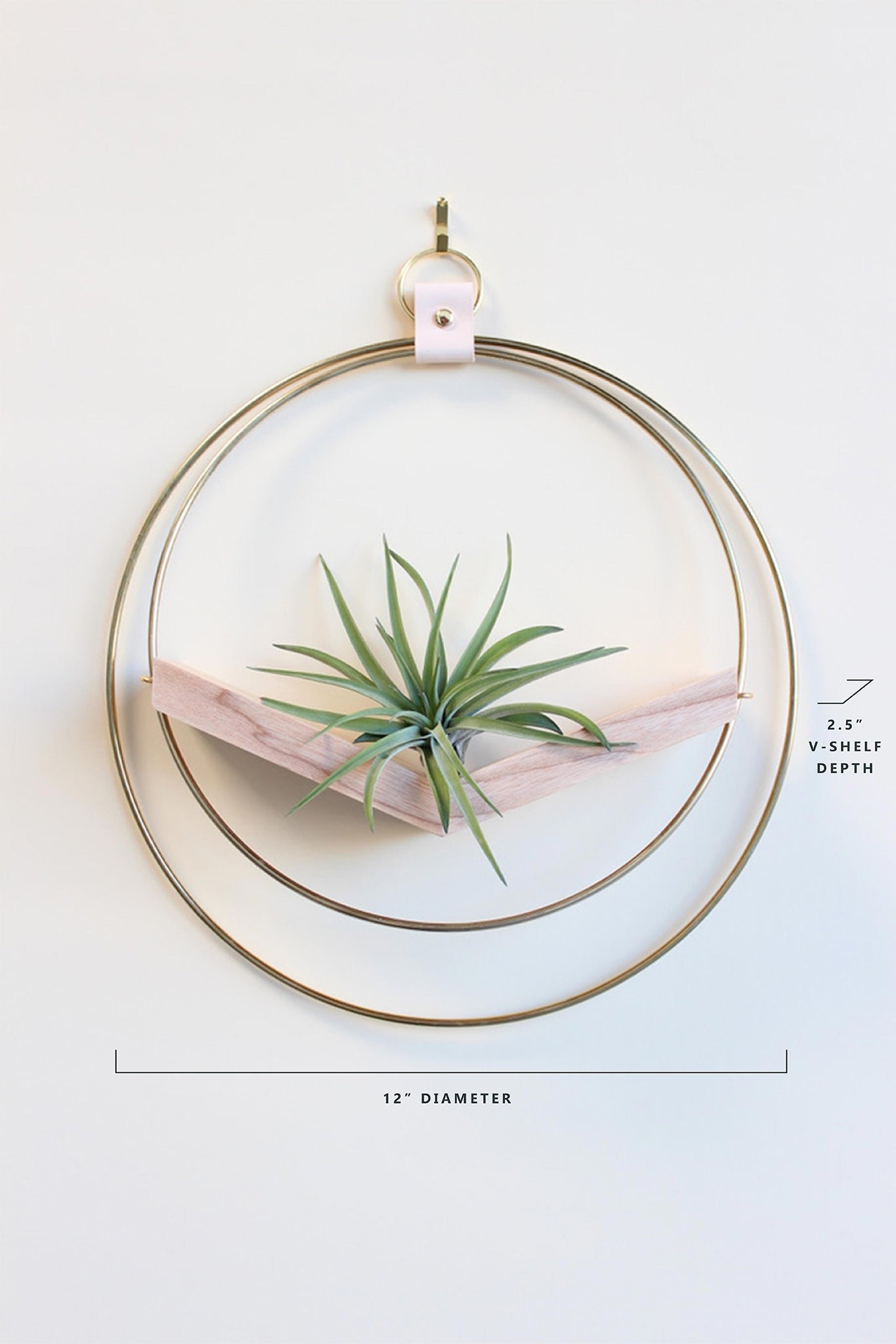 Air Plant V-Hanger & Shelf Mixed Duo - Modern Wall Decor by Braid ...