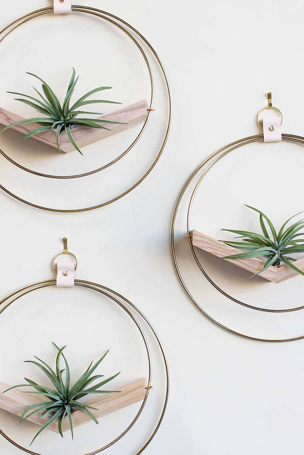 Braid & Wood – Braid & Wood