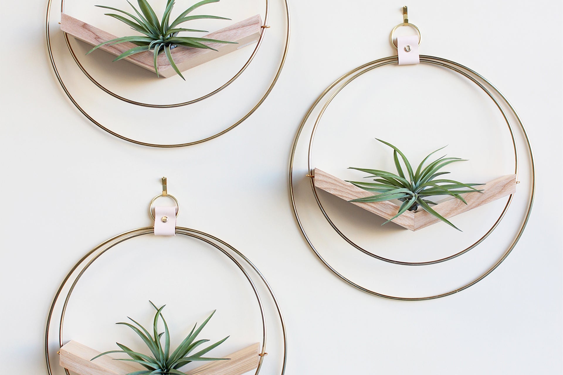 Braid & Wood – Braid & Wood